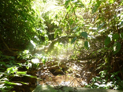 CDP Climate Change – revised questionnaire for 2016 and new scoring ...